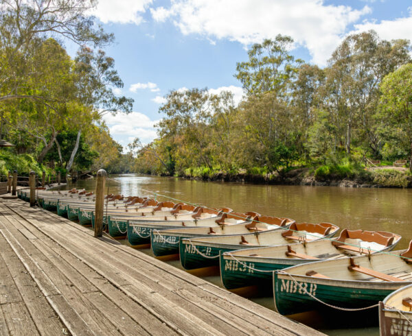 Fairfield Boating: Unique Rowing & Kayaking on the Yarra